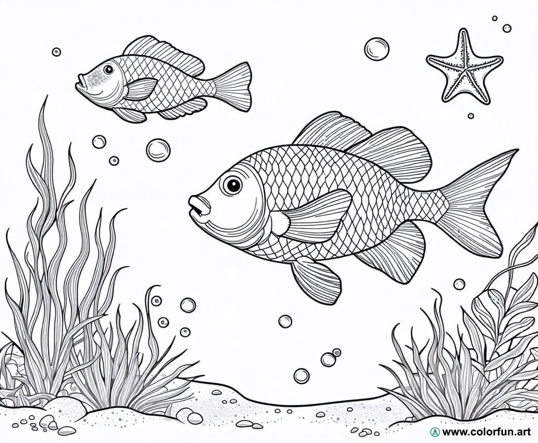 Desenhos para colorir sobre o tema do mar Para Baixar ou Imprimir ...